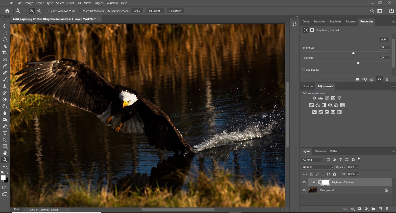 Enhance Your Photo Experience With Photo Editing Software